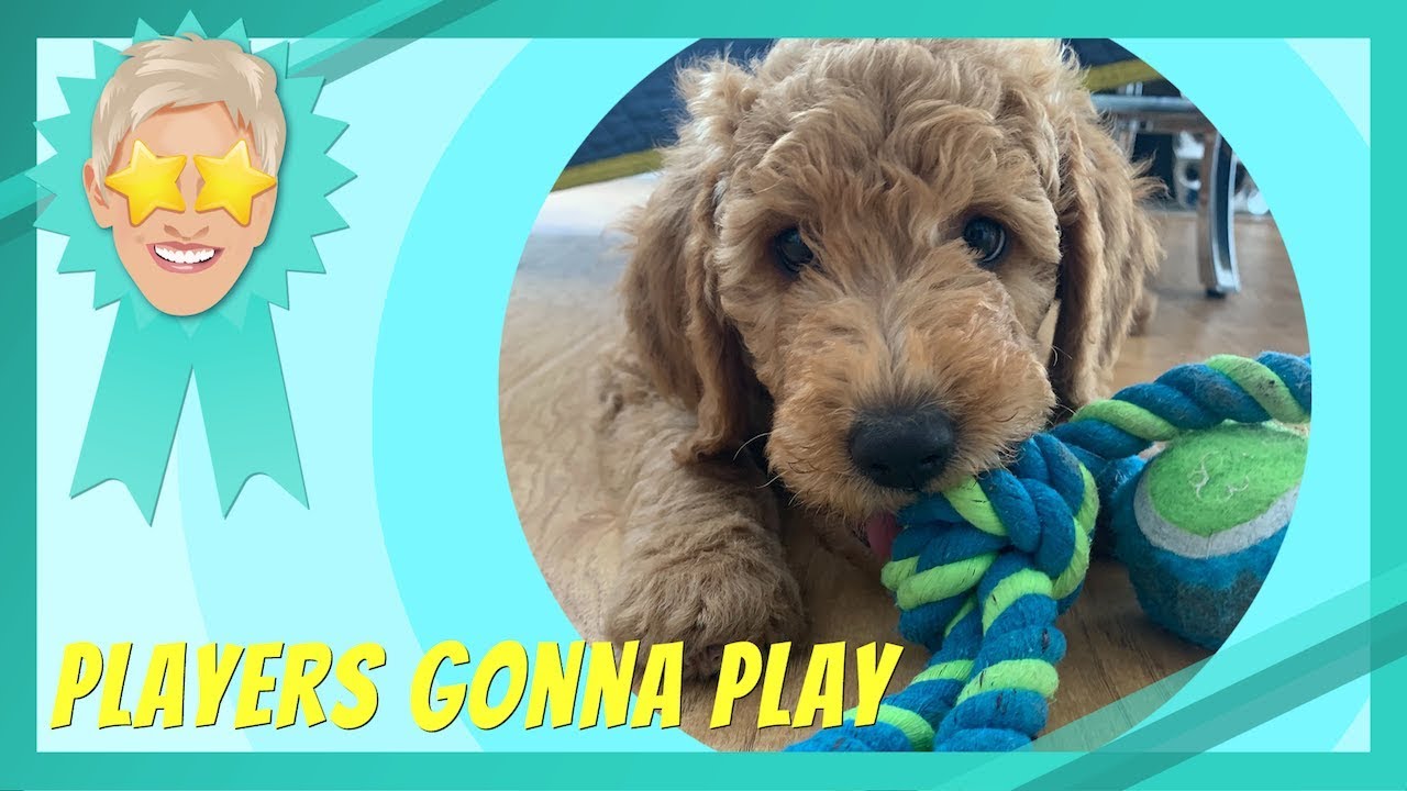 Players Gonna Play - YouTube