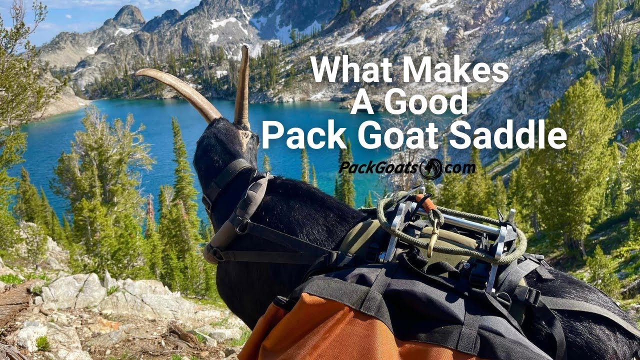 Break Down of Different Components to a Good Pack Goat Saddle - YouTube