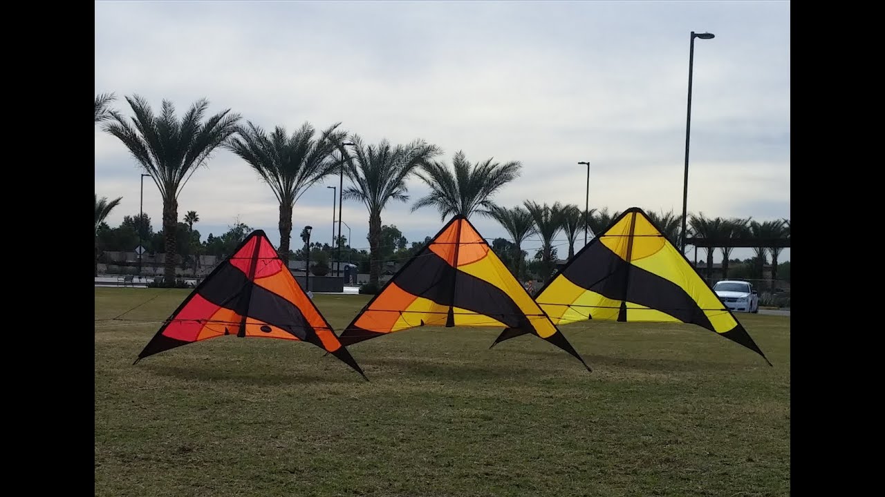 Into The Wind Fleet Progressive Stack Kites - YouTube