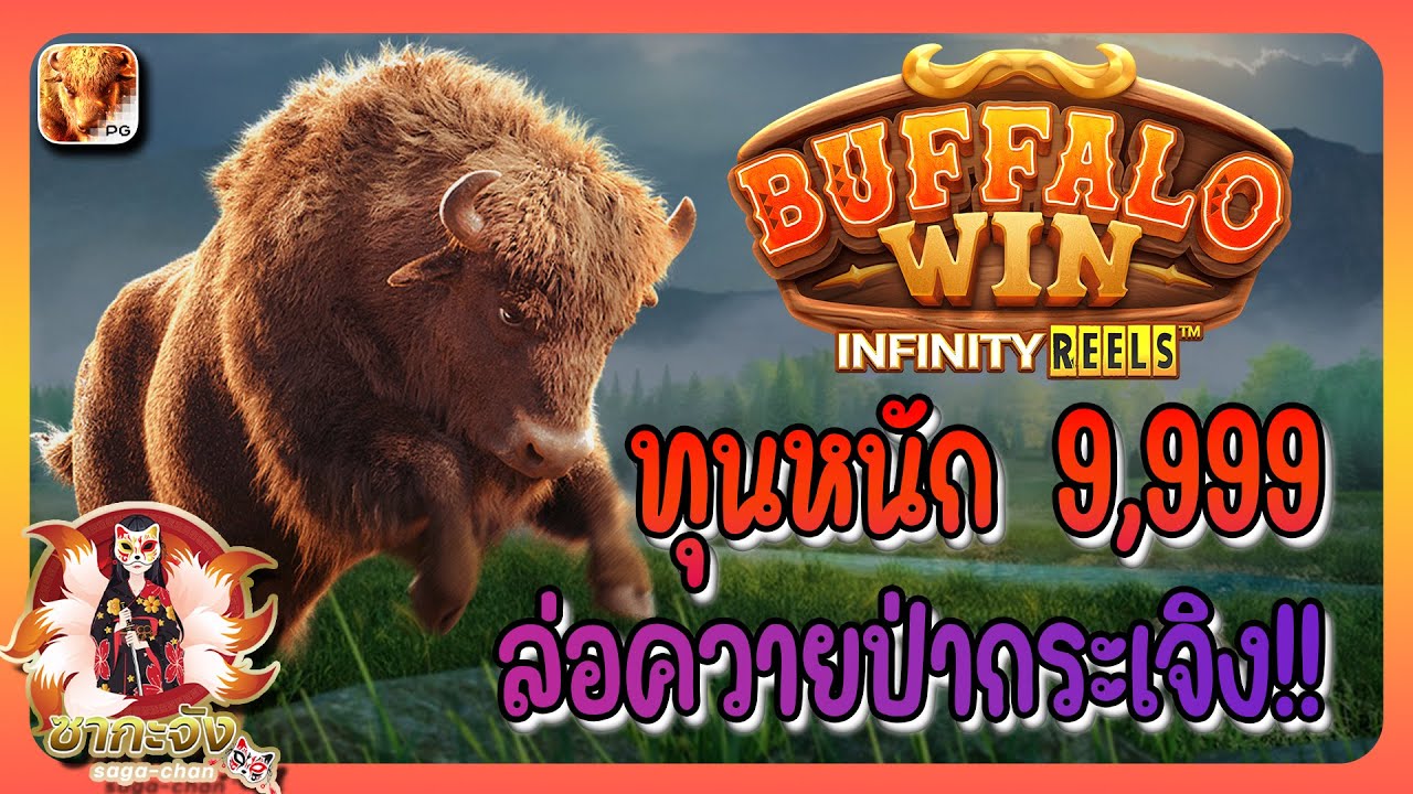 Buffalo Win เกมควาย PG : ทุนหนัก 9,999 ล่อควายป่ากระเจิง!! - YouTube
