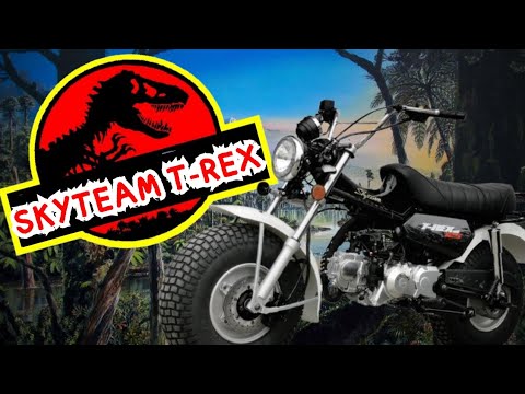 SKYTEAM 125 T-REX