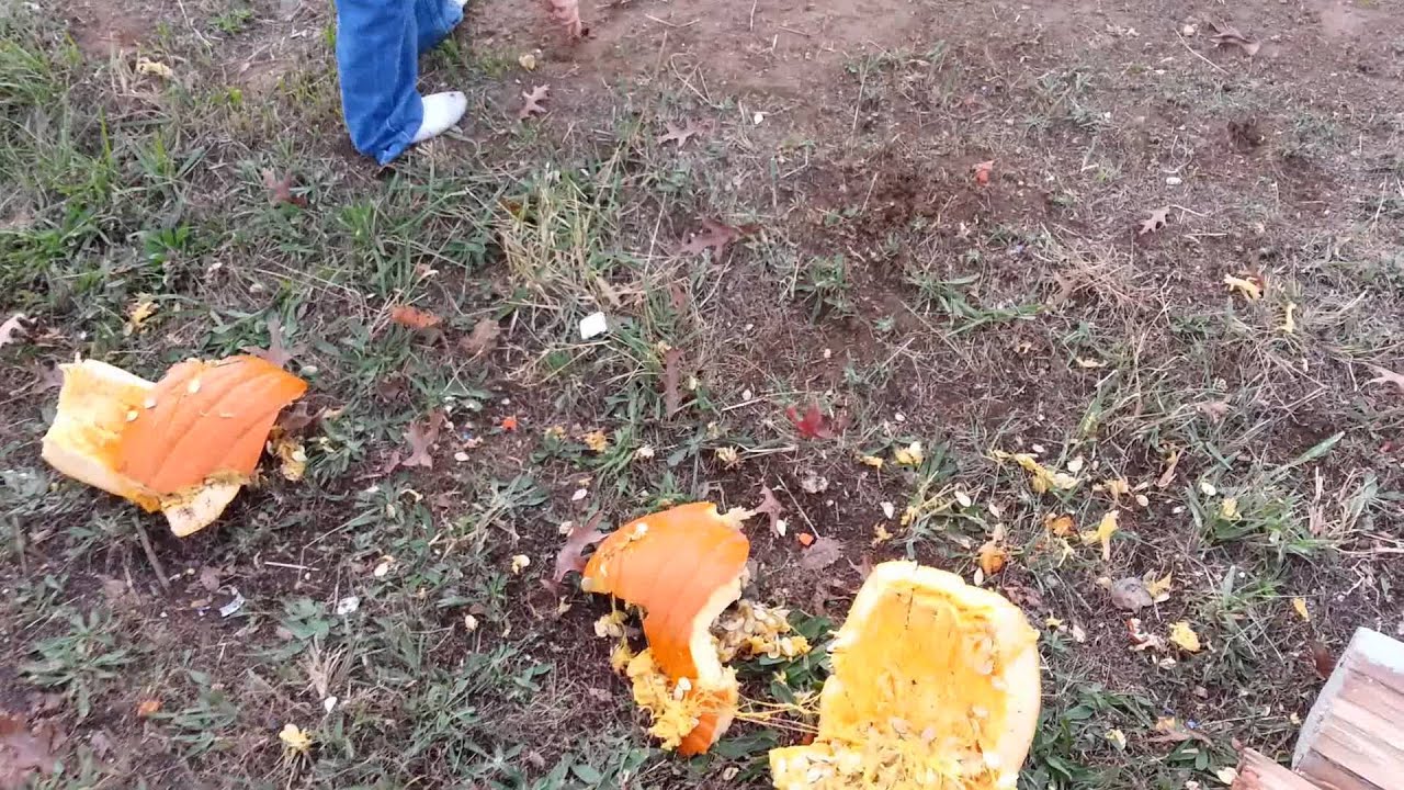 Pumpkin with tannerite - YouTube