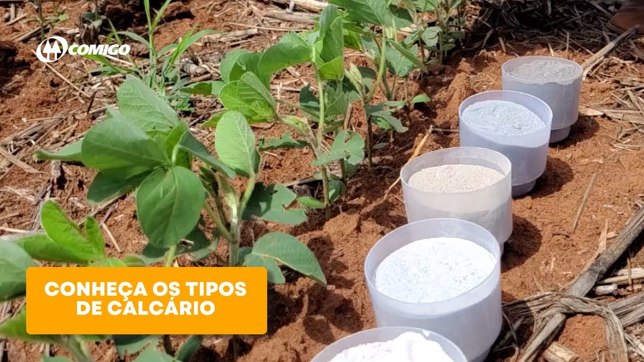 Conheça os diferentes tipos de calcário - YouTube