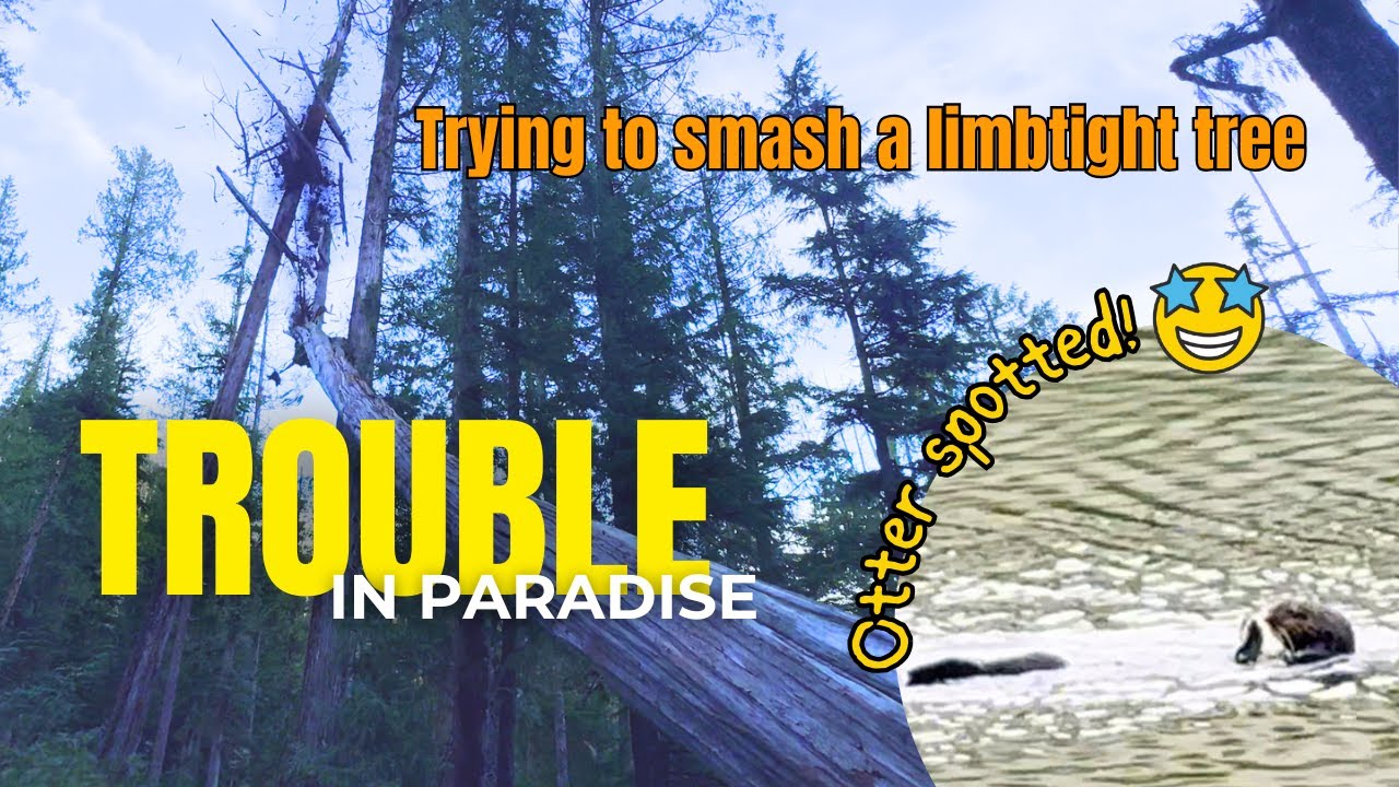 230. Smashing a Limb-tied Tree | Last Chance - YouTube