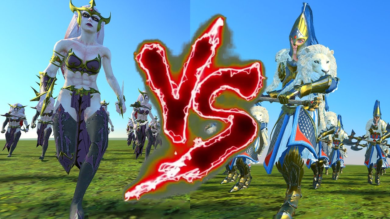Witch Elves VS White Lions of Chrace. Total War Warhammer 3 - YouTube