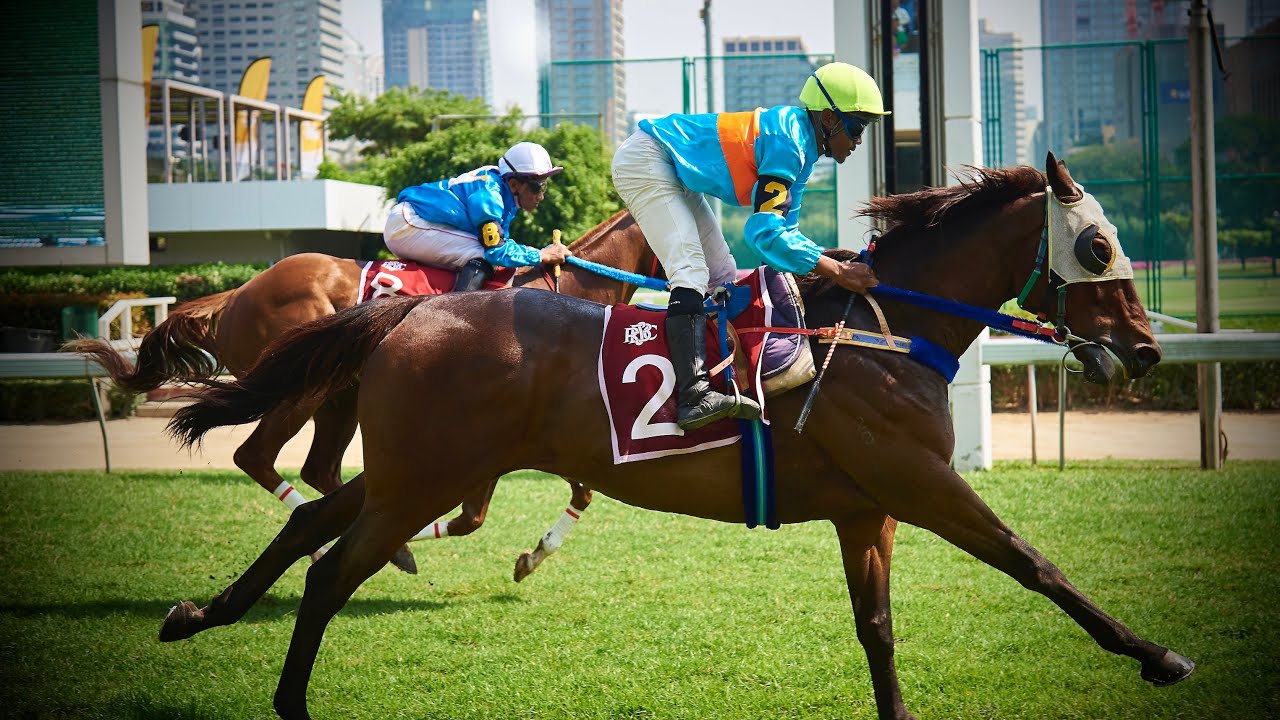 SHOGUN - 05/01/2025 - Race 1 - Thoroughbred Division 4 - YouTube