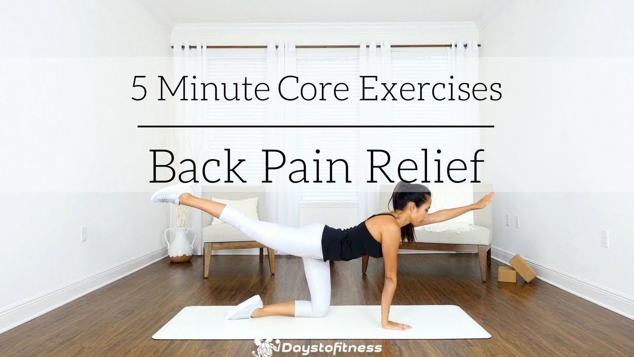 5 Minute Core Exercises for Back Pain Relief - YouTube