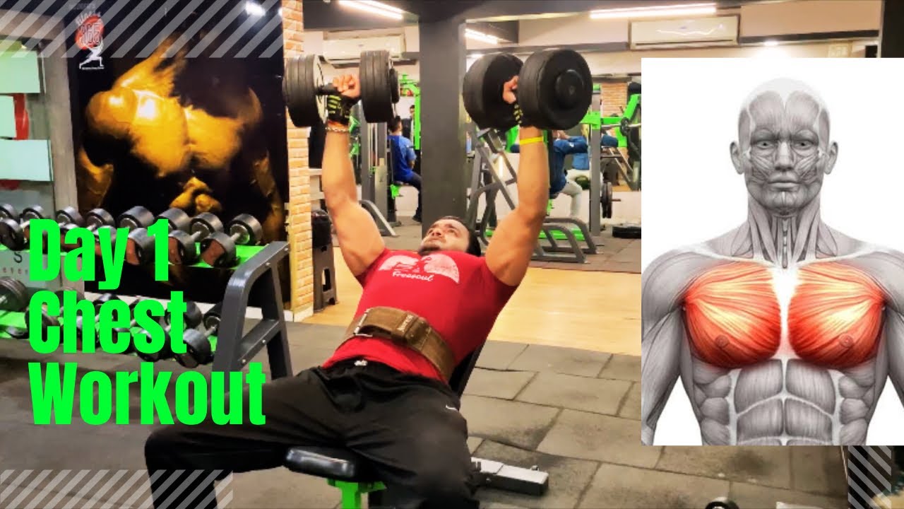Chest Workout /Bulking Ep 1 ⁠@namanbajpaifitness8321 - YouTube