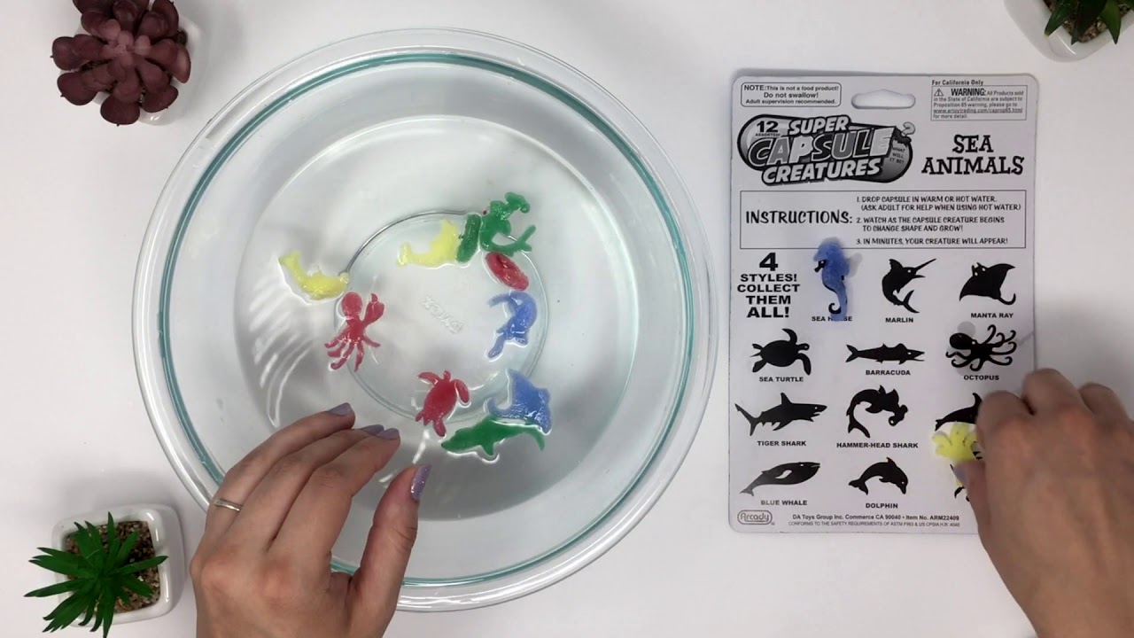 Super Capsule Sea Creatures - YouTube