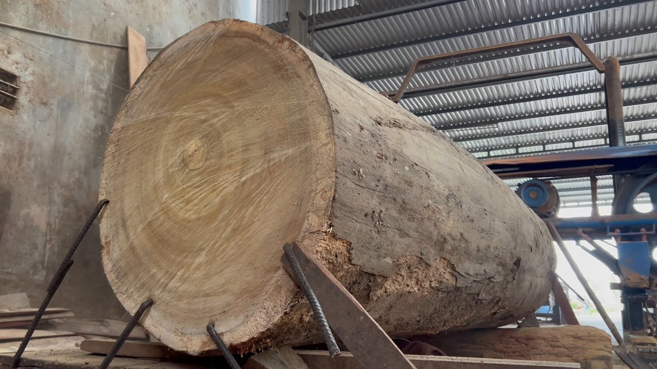 Amazing Raw Wood Sawmill | Operating Extra Large Saws, Beautifully ...