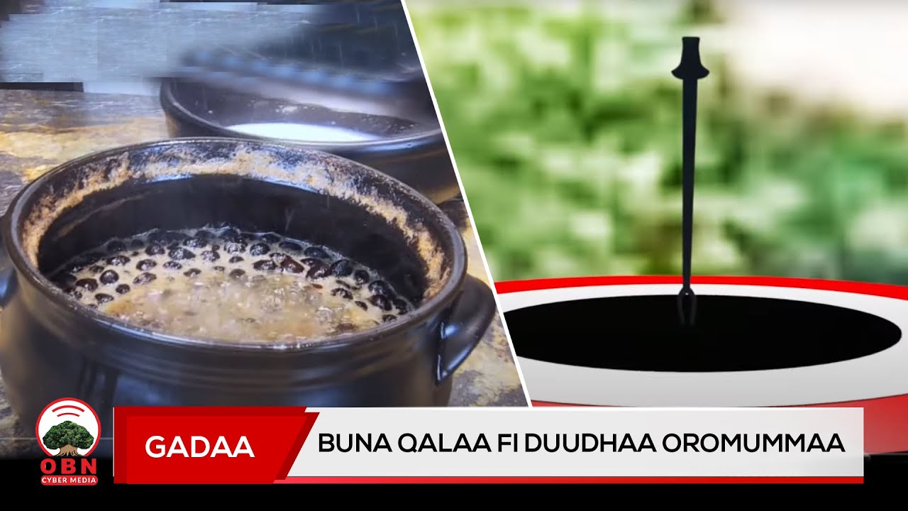 Gadaa ||Buna Qalaa fi Duudhaa Oromummaa|| - YouTube