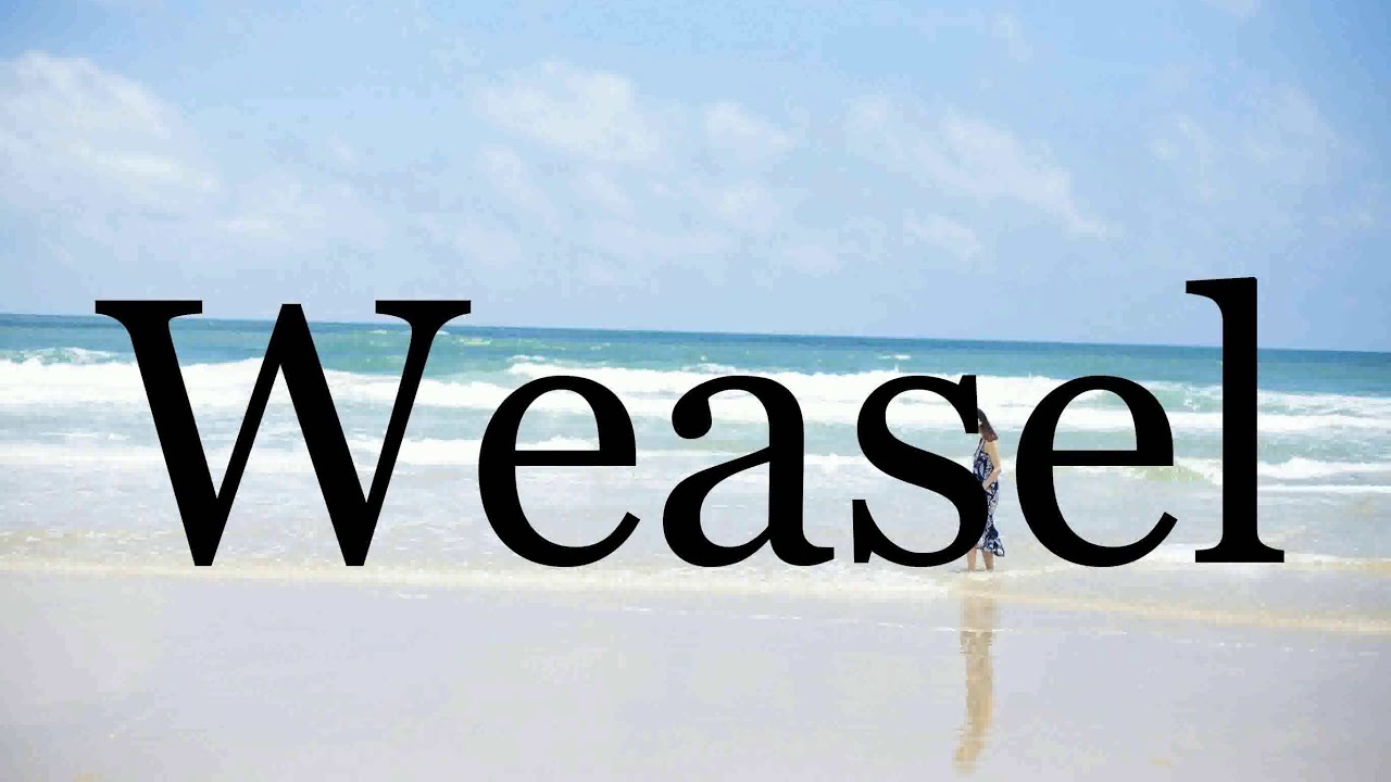 How To Pronounce Weasel🌈🌈🌈🌈🌈🌈Pronunciation Of Weasel - YouTube