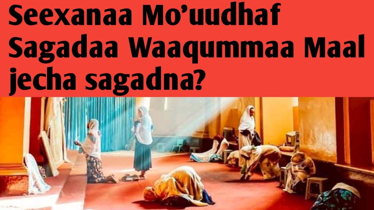 Sagada Waaqummaa Seexana mo'uuf maal jenne sagadna? Yoom sagadu qabna ...