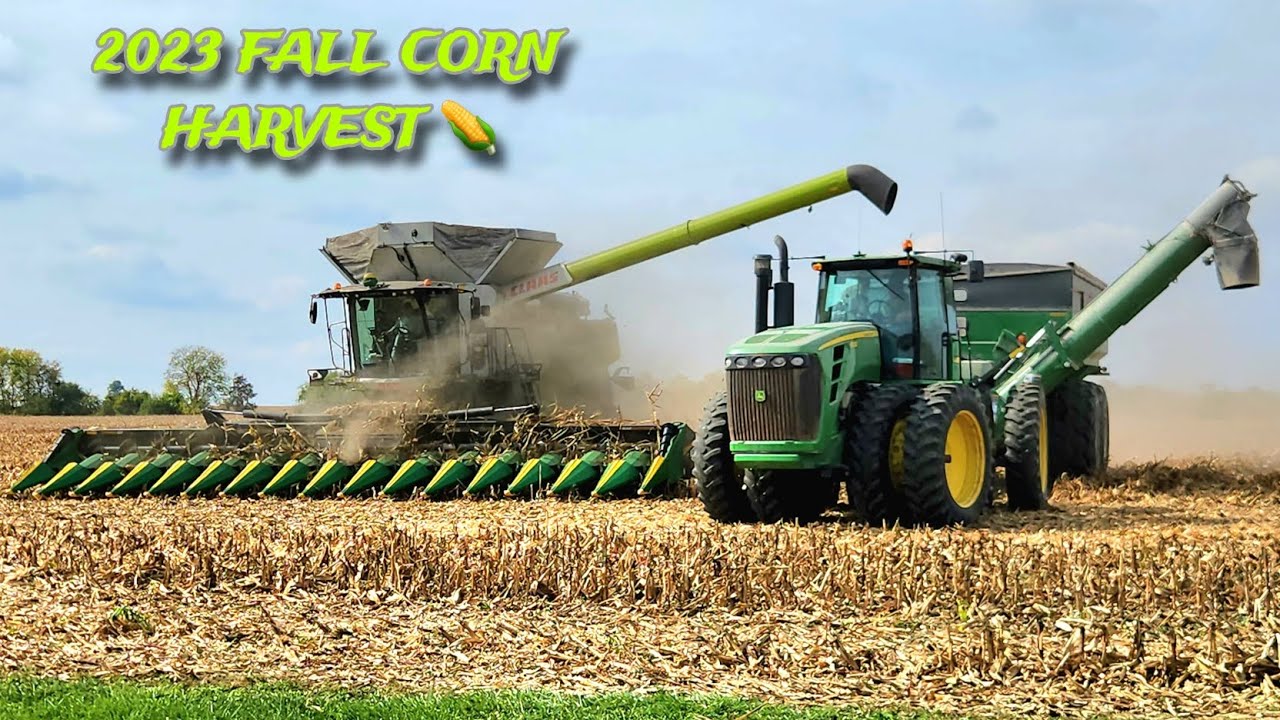 CLAAS 8700 COMBINE HARVESTING CORN 🌽 WITH 16 ROW DRAGO FOLDING CORN ...