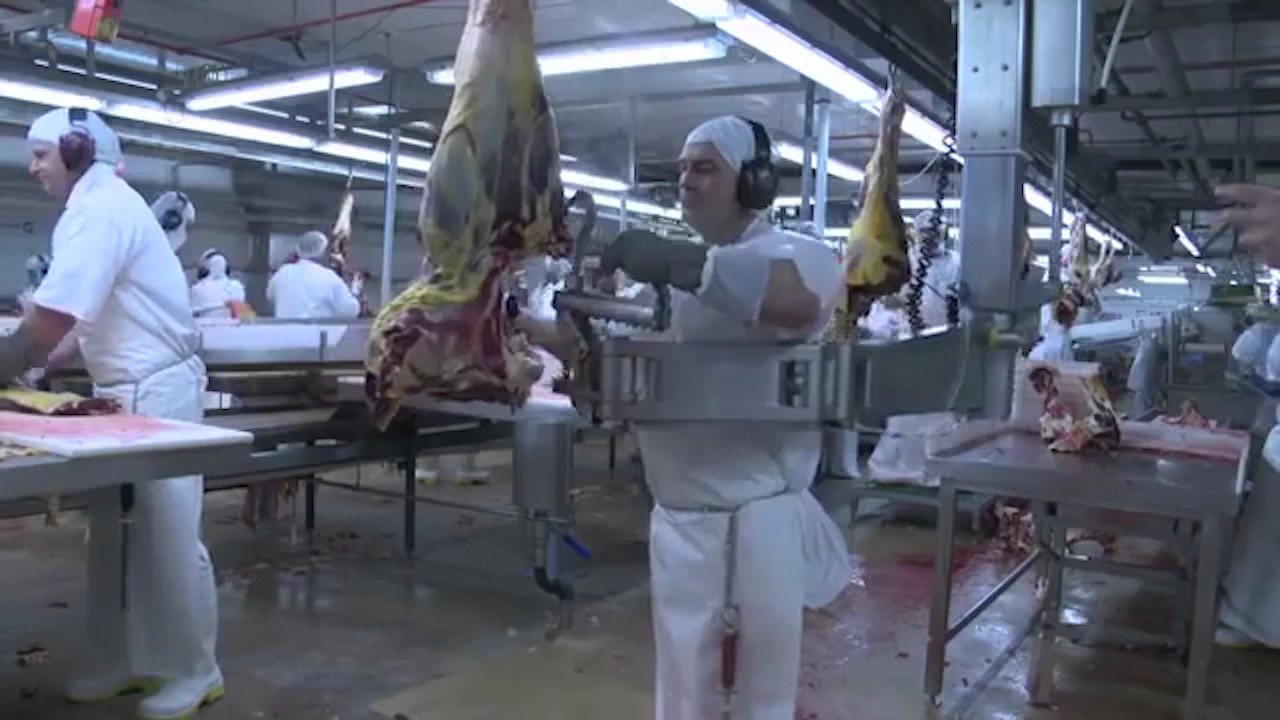 SCOTT Beef Boning Unit - YouTube