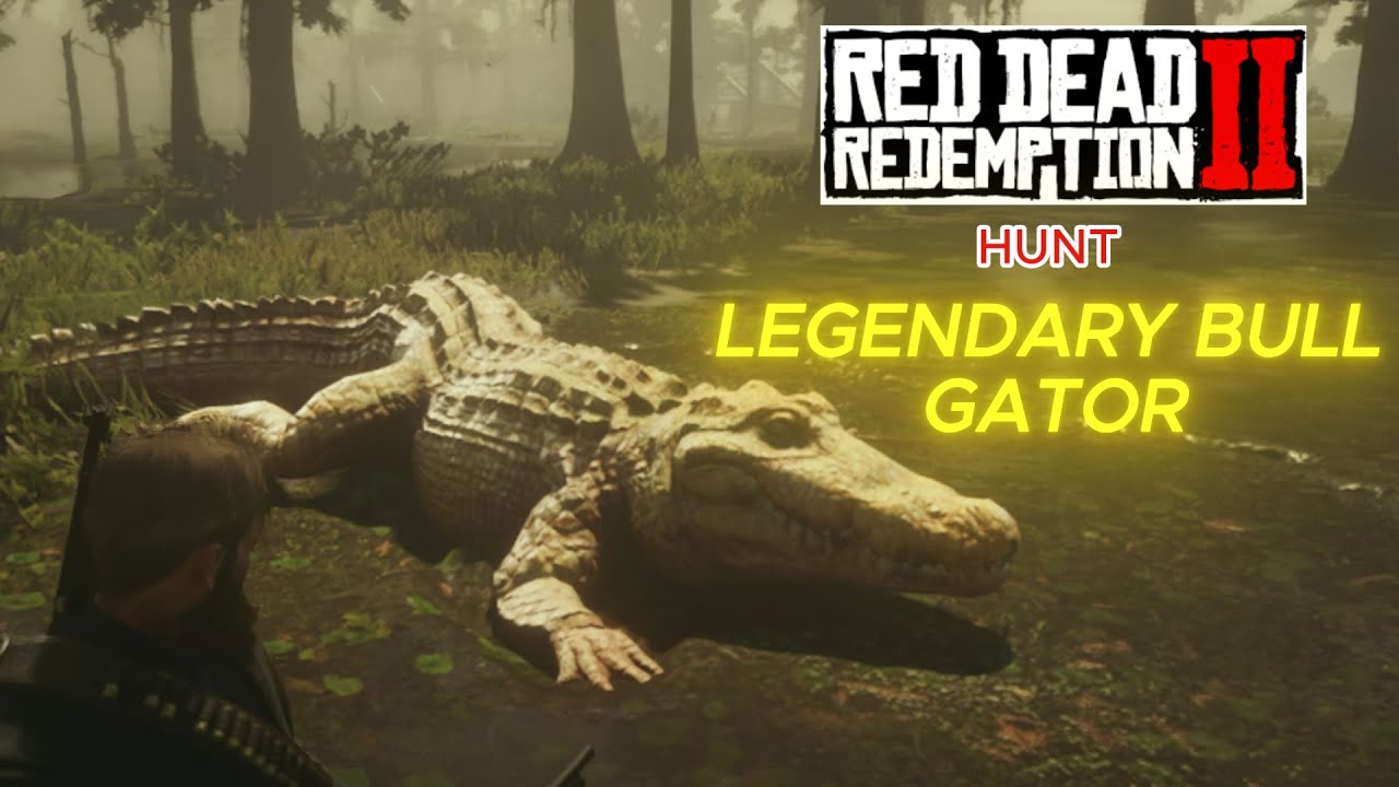 Red Dead Redemption 2 Hunting LEGENDARY BULL GATOR - YouTube