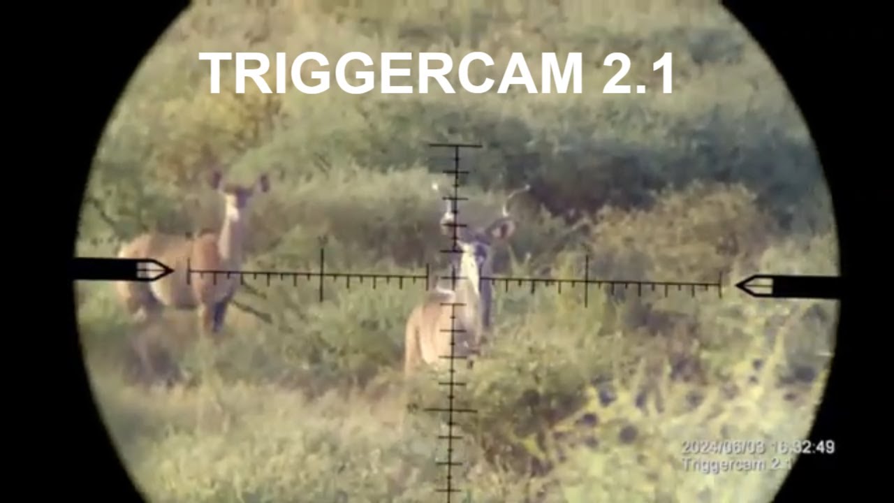 TriggerCam 2.1 - Kudu Hunt South Africa - YouTube