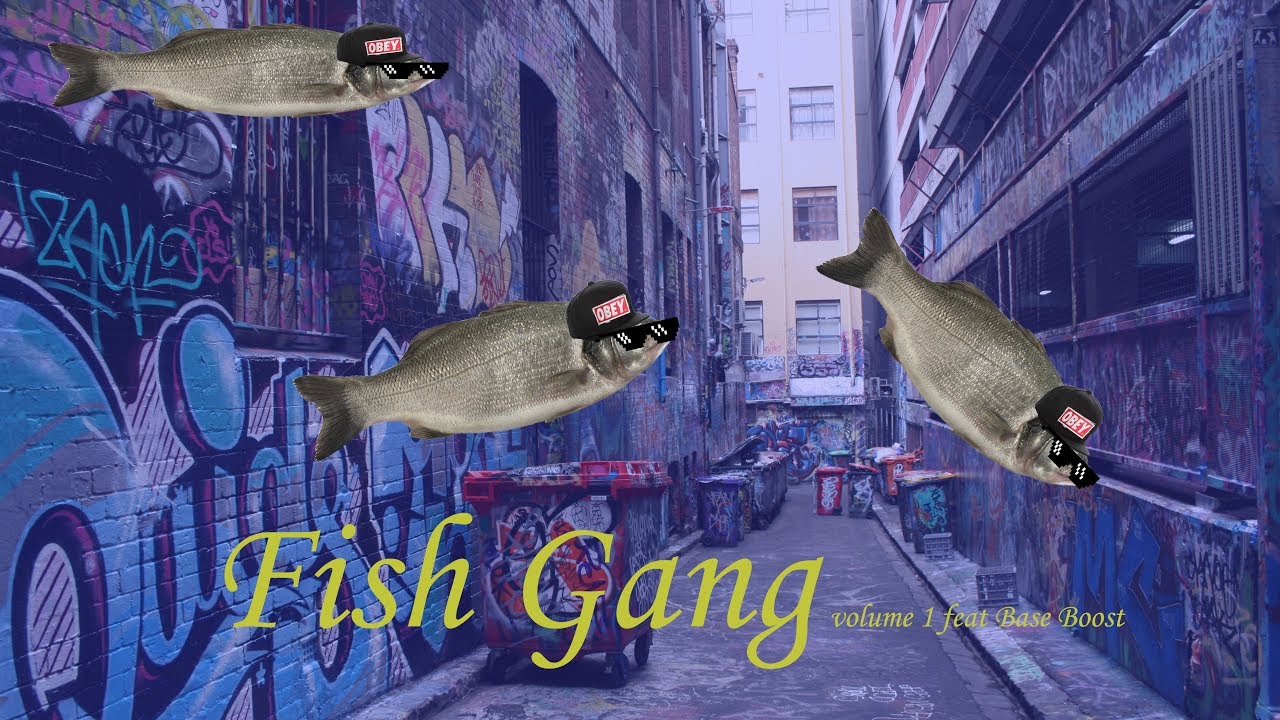Fish Gang - Gucci Gang Parody - BASS BOOSTED - YouTube