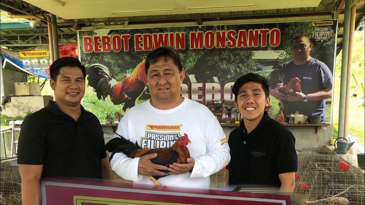 Trip to Bebot GAMEFARM (sweater) - YouTube