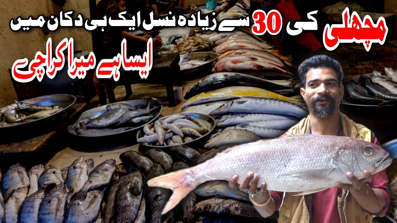 Fish ki 30 se Ziyada Nasal ek hi Shop par @khasauraam - YouTube