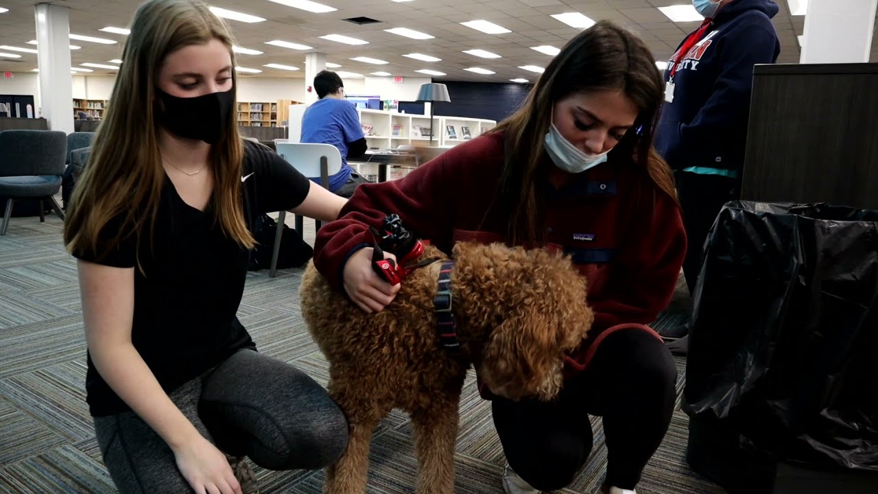 Animals at Farragut High School! - YouTube