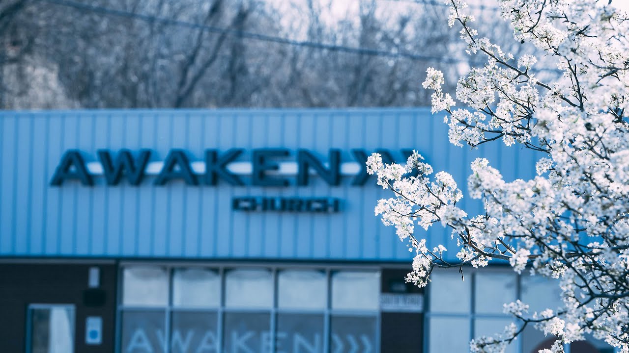 Awaken LIVE // November 24, 2024 - YouTube