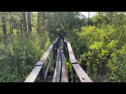 Boonie Falls —southernmost waterfall in USA! ***(Little Big Econ State ...