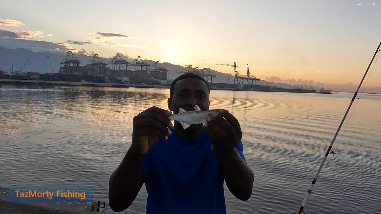 LIVE MULLET DID THE JOB // 14LBS SNOOK IN LESS THAN 5 MINS. - YouTube
