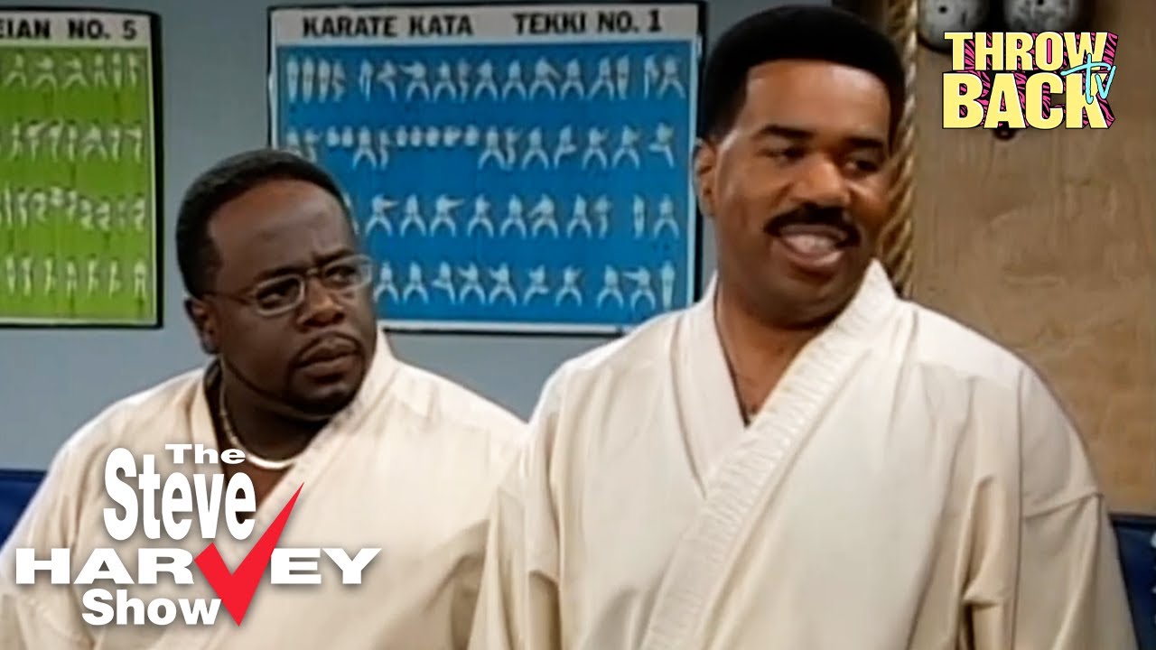 The Steve Harvey Show | Steve And Cedric Go To A Karate Class | Throw ...