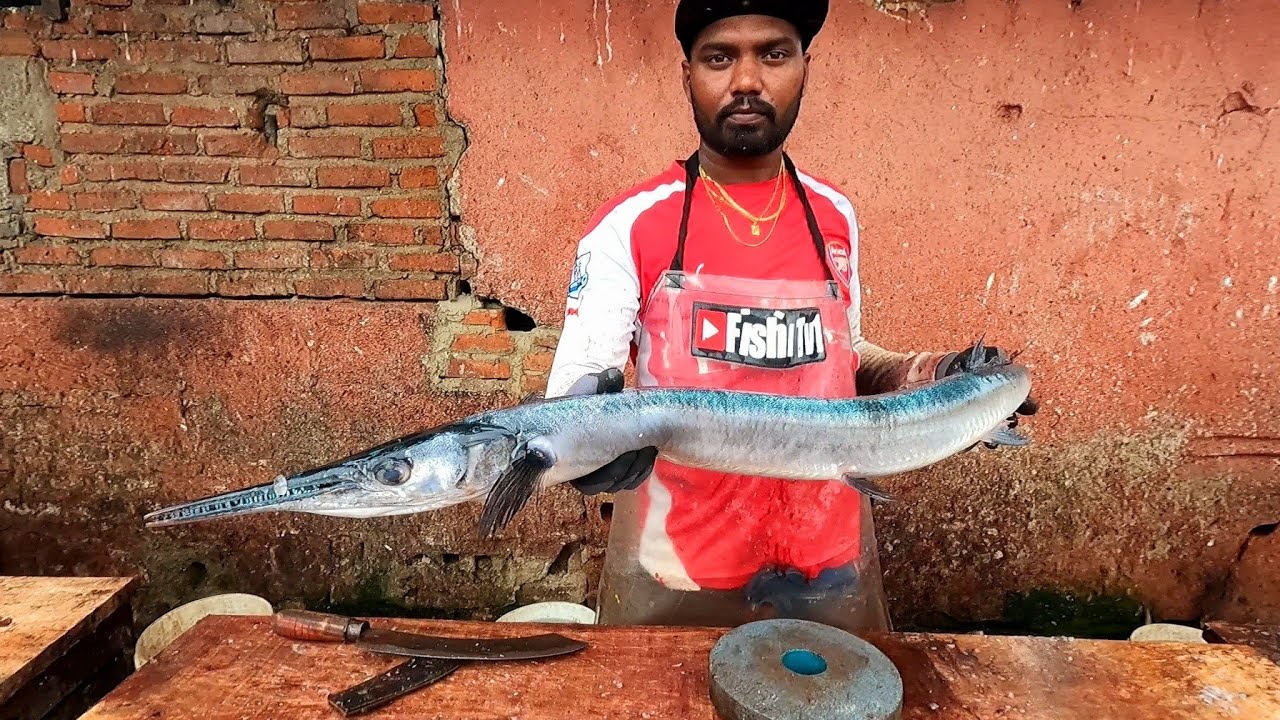 Woww its big | GARFISH | හබරලියා - HABARALIYA - YouTube