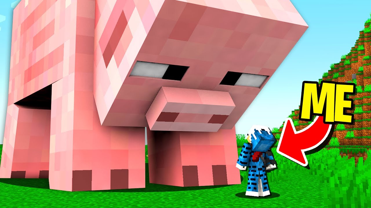 LA MIA MOD PREFERITA DI MINECRAFT - YouTube