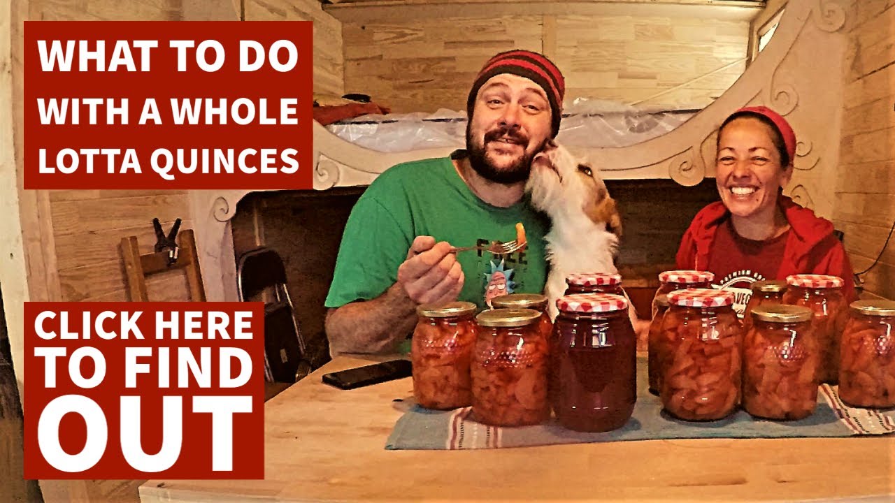 How we preserve Quinces! - Quinces poached in sugar syrup recipe - YouTube