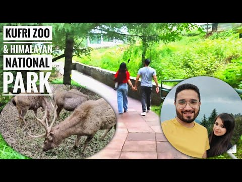 Kufri Zoo & Himalayan National Park, Shimla | Kufri Trip | Kufri ...