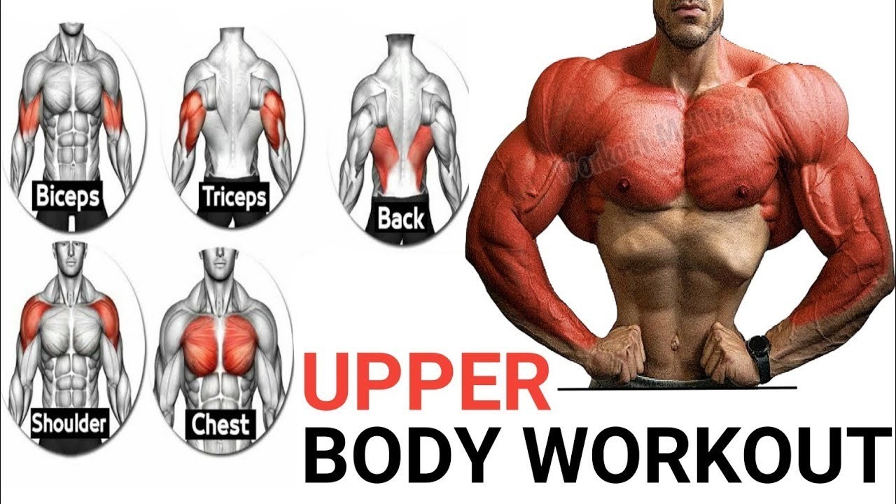 The Best Full Upper Body Workout For Growth - Workout Motivation - YouTube