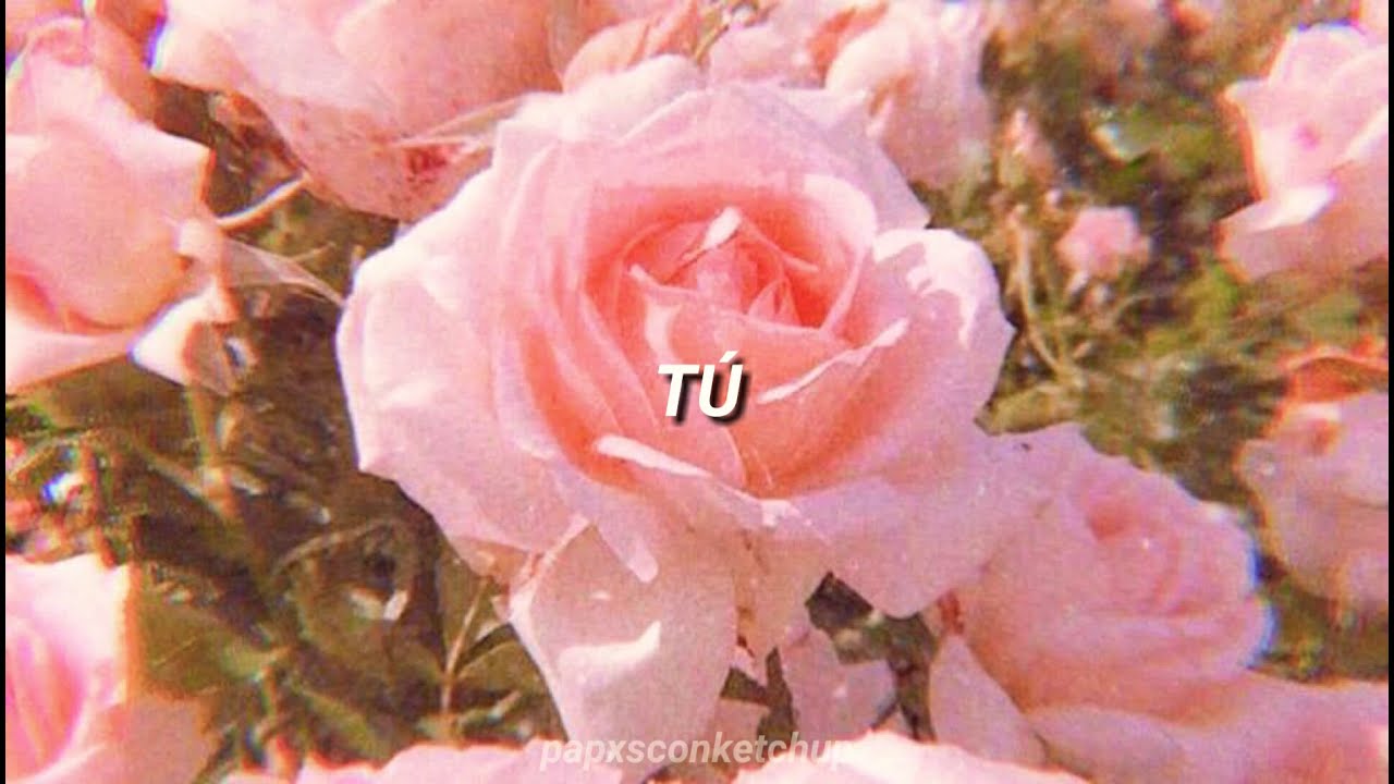 noelia // tú [letra] - YouTube