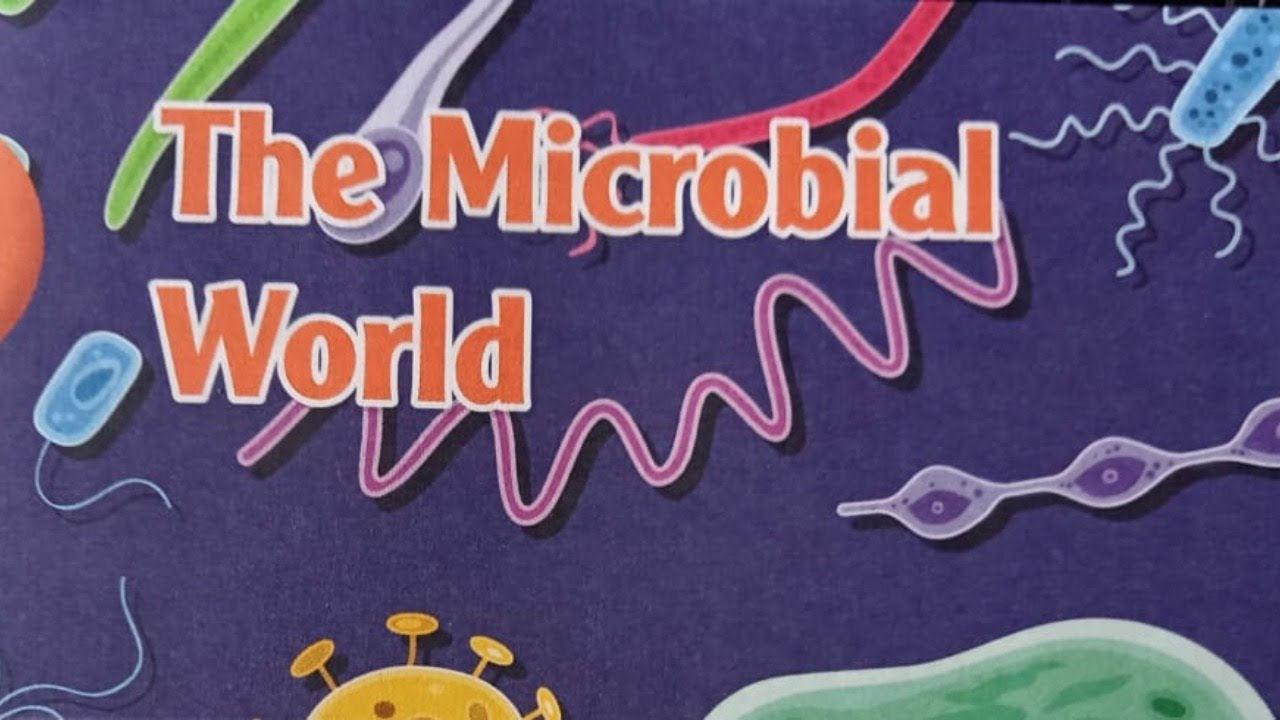 The microbial world Class 8 Science | Expanded Universal Science Class ...