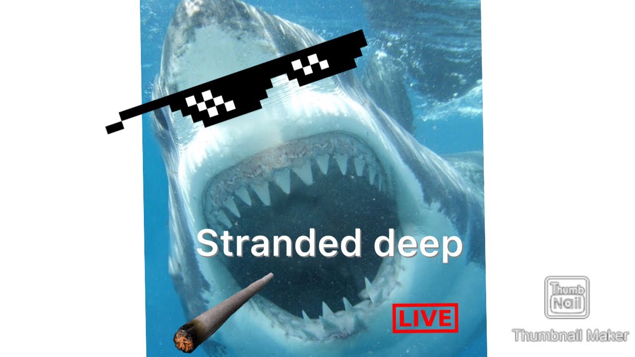 Stranded DeepNL PS4 LIVE #3🔴 nieuwe begin... - YouTube