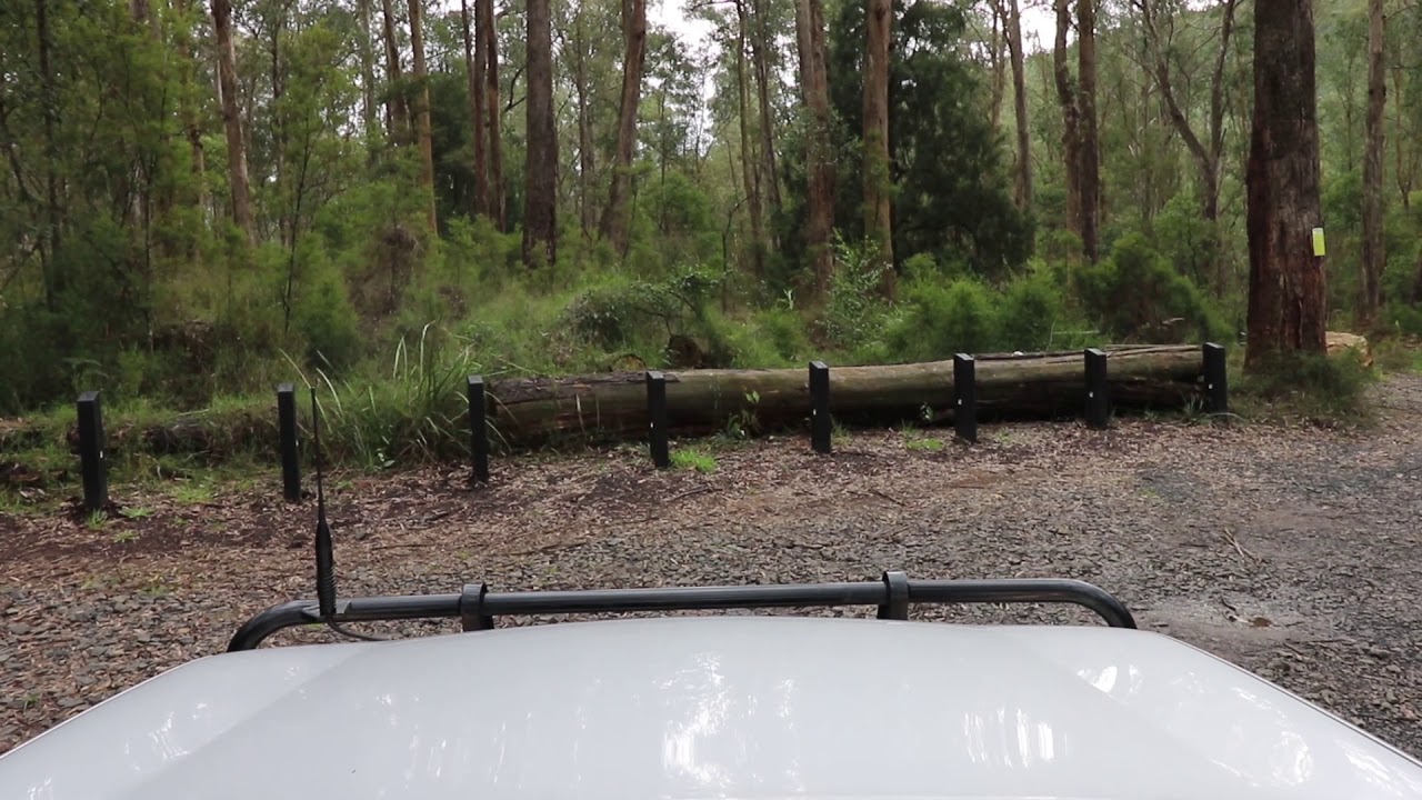Latrobe River Campground - Latrobe State Forest - Victoria - YouTube