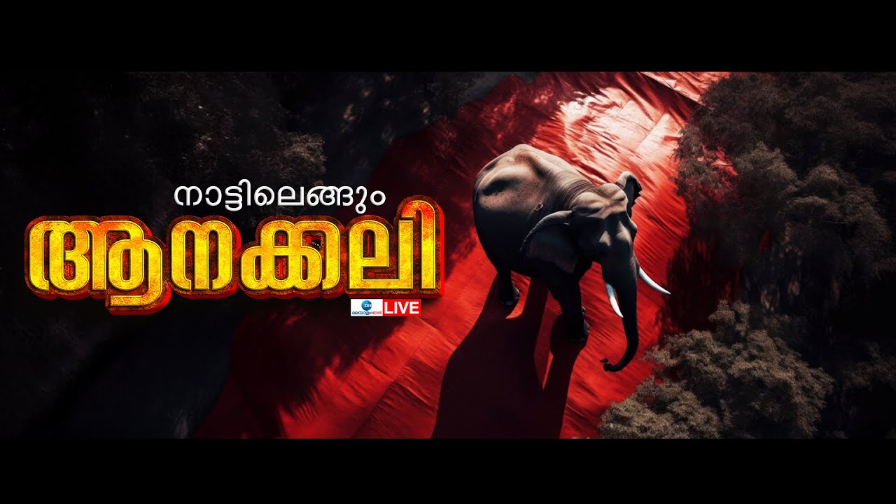 Live: Wayanad Wild Elephant Attack | നാട്ടിലെങ്ങും ആനക്കലി |Kerala Wild ...
