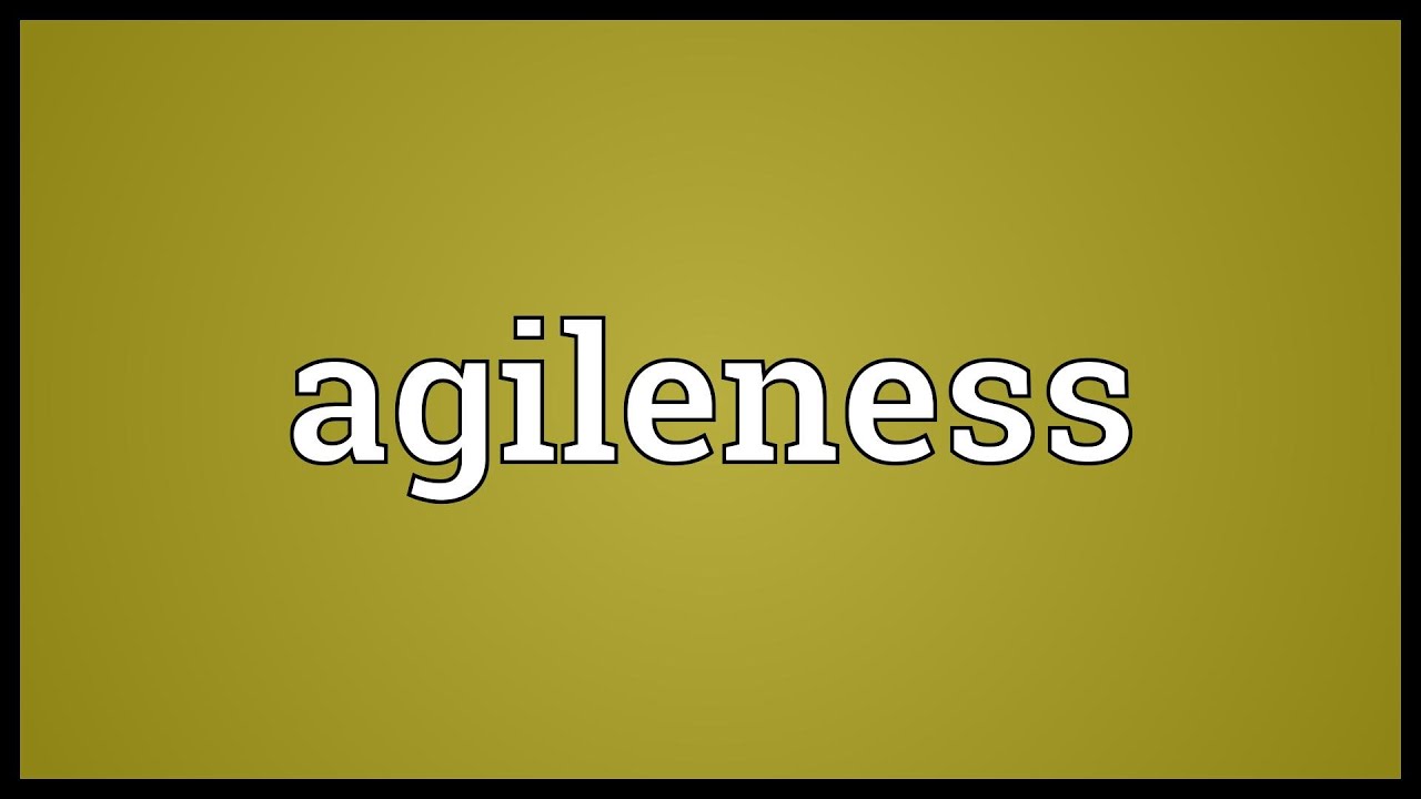 Agileness Meaning - YouTube