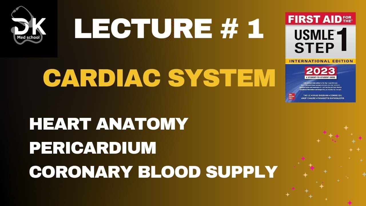 Heart Anatomy from First Aid USMLE Step 1 - YouTube