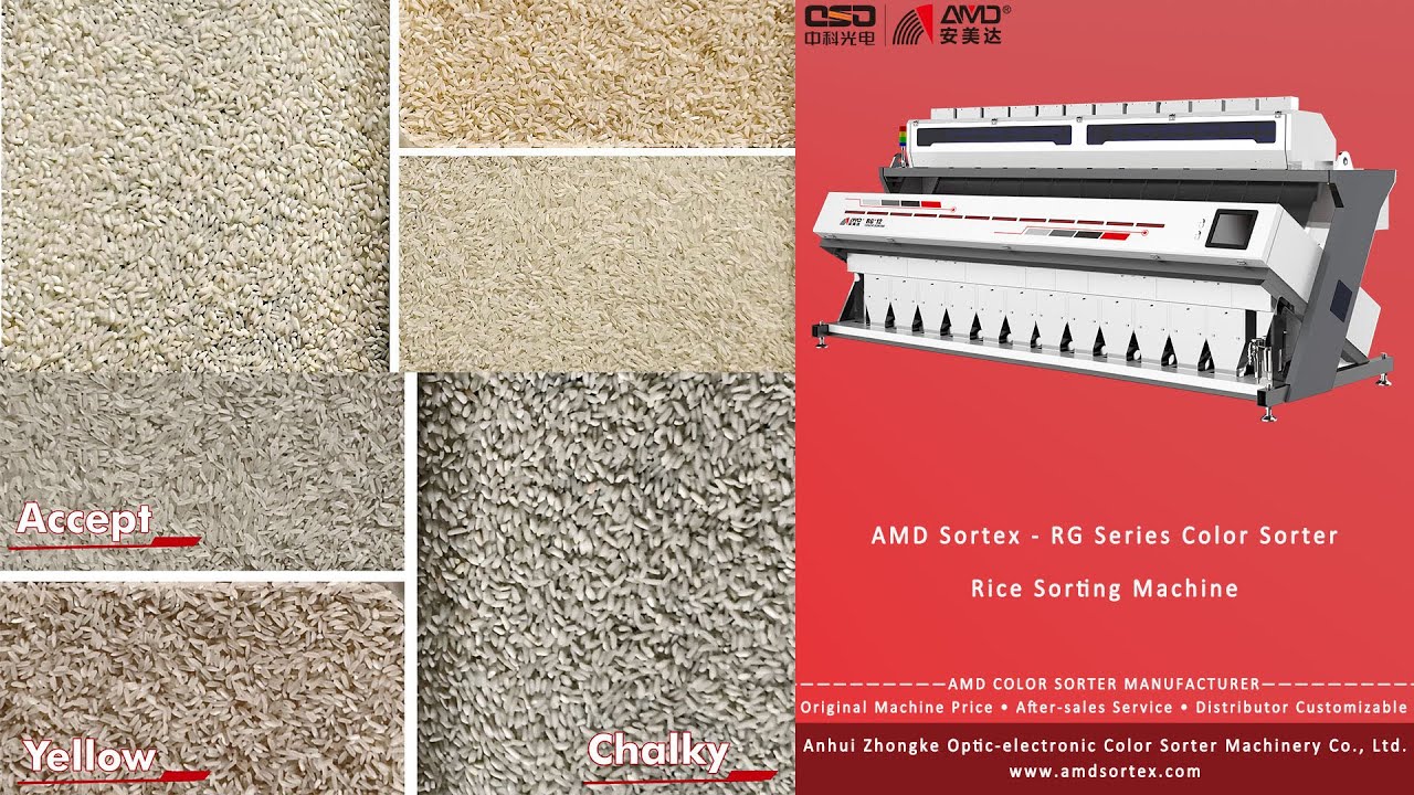 AMD Sortex(Super RG12) Rice Color Sorter Machine Price for Yellow ...