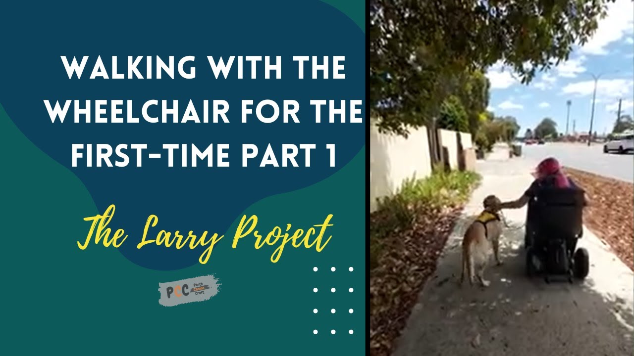 🐕‍🦺The Larry Project👌 - Walking with wheelchair for the first-time part ...