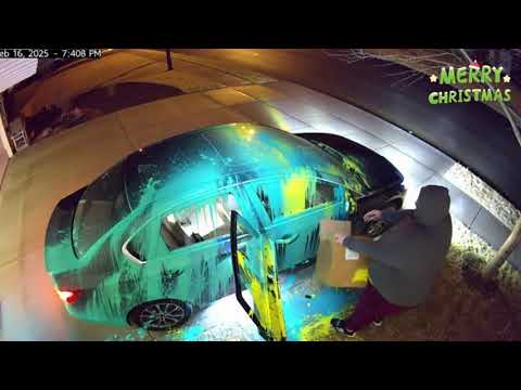 🎄 Christmas Porch Pirates Make It Worse 😳 | Caught on Ring Camera