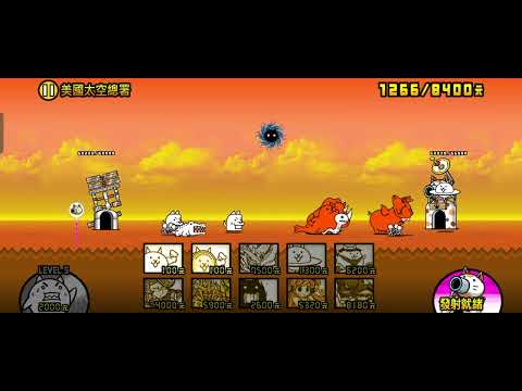 cat3