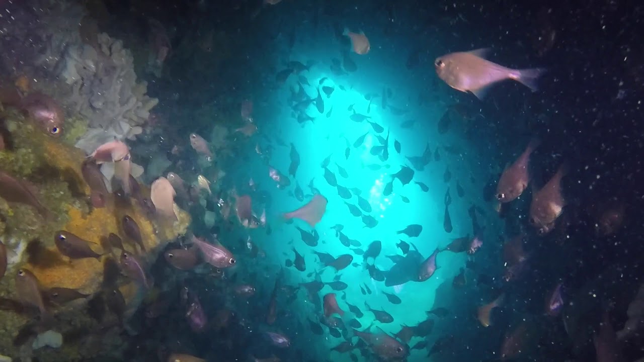 Takatu Point Cliff's Cave - YouTube