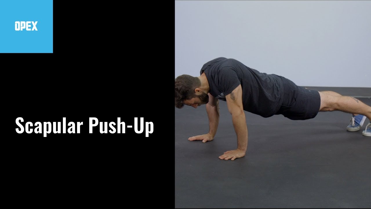 Scapular Push Up - OPEX Exercise Library - YouTube