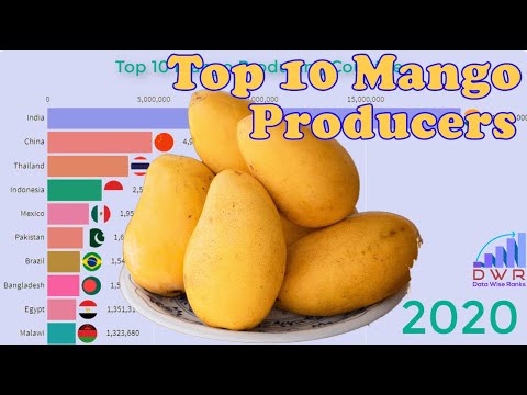 World Largest Mango Producers | Top 10 Countries by Mango Yield - YouTube