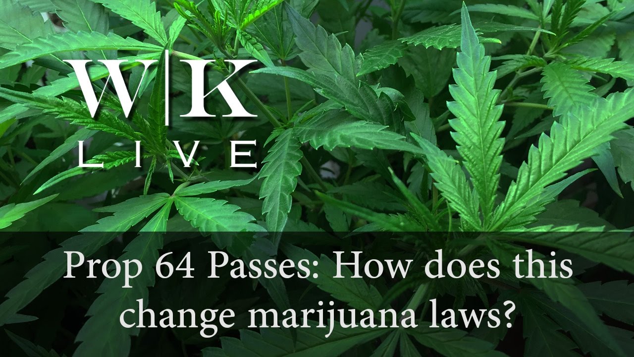 WK LIVE: What Prop 64 Passing Means for Marijuana Laws in California ...