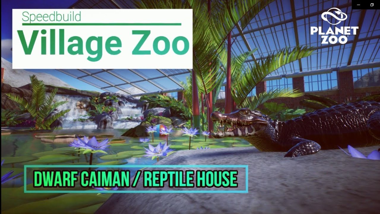 Dwarf Caiman Habitat 🐊🐢 / Village Zoo - Ep#05 / Speedbuild/Sandbox ...
